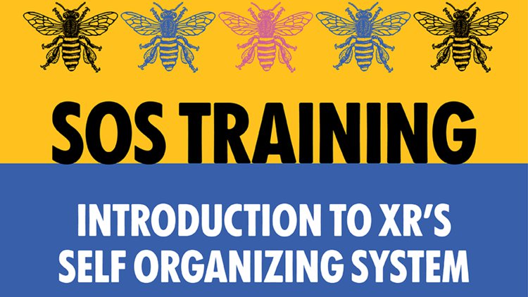 Extinction Rebellion Boston :: Self-organizing systems practice