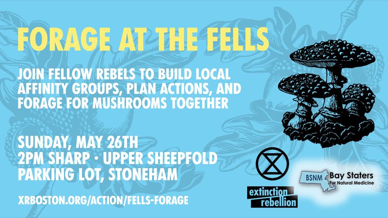 Extinction Rebellion Boston :: Forage at the Fells
